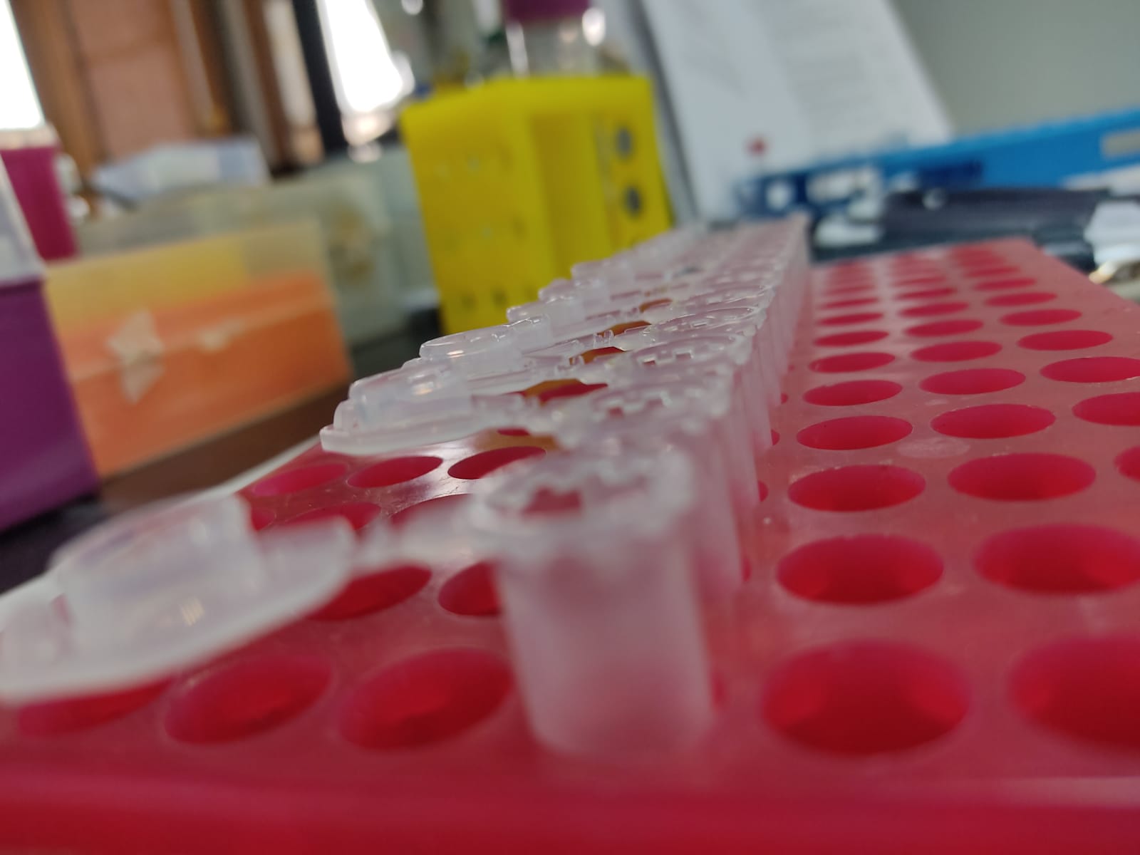 Integrative Molecular Biology Lab