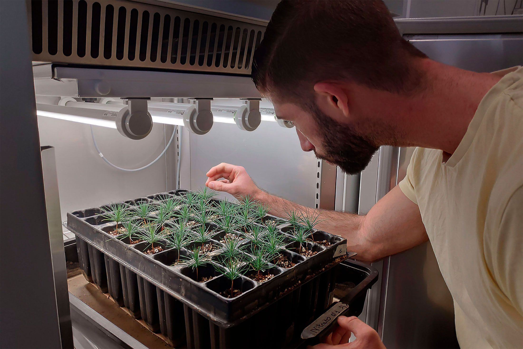 IMBL in media, Ortigosa et al (2021) – Integrative Molecular Biology Lab